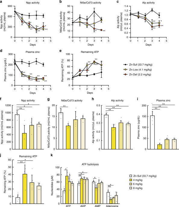 Zinc deficiency causes delayed ATP clearance and adenosine generation ...