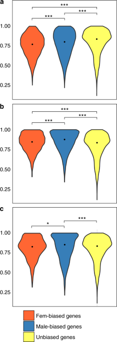 Genomic analysis of Sparus aurata reveals the evolutionary dynamics of ...