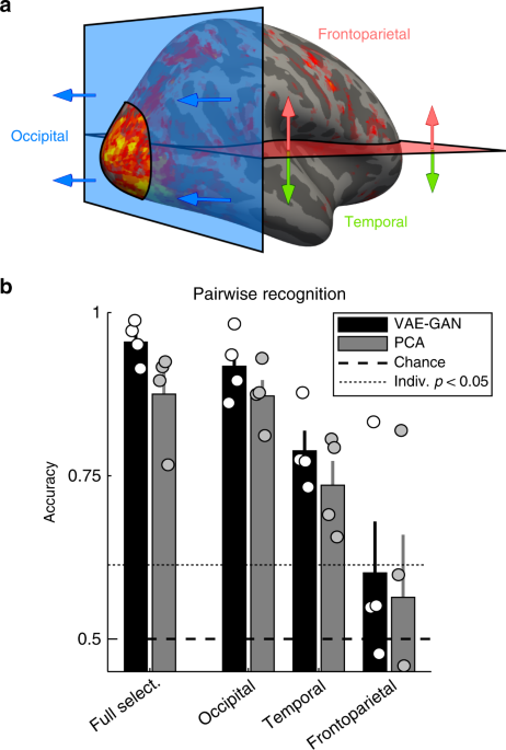Reconstructing faces from fMRI patterns using deep generative neural networks | Communications ...