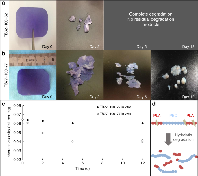 Preliminary design of a new degradable medical device to prevent the ...
