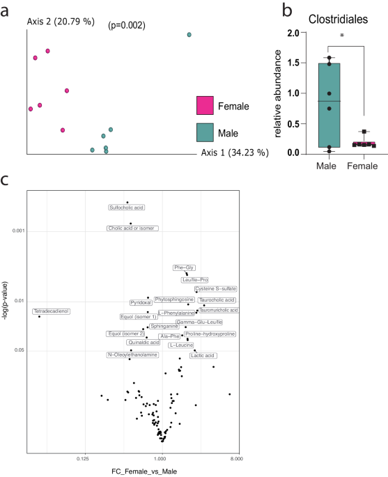 The effect of testosterone on the gut microbiome in mice ...