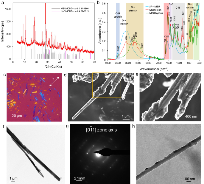 Unraveling the pathological biomineralization of monosodium urate ...