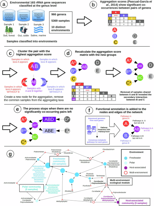 Cross-biome microbial networks reveal functional redundancy and suggest genome reduction through ...