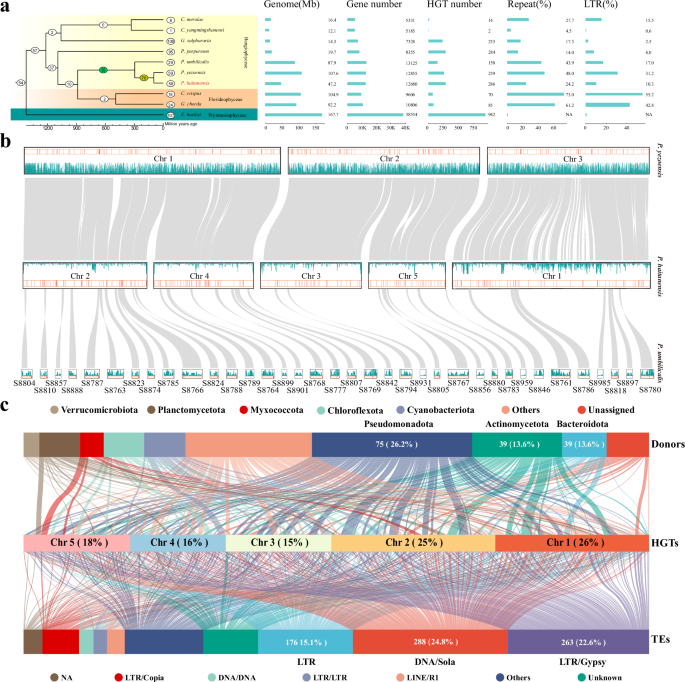 Horizontal gene transfer and symbiotic microorganisms regulate the ...