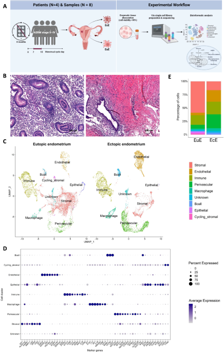 Endometriotic lesions exhibit distinct metabolic signature compared to ...