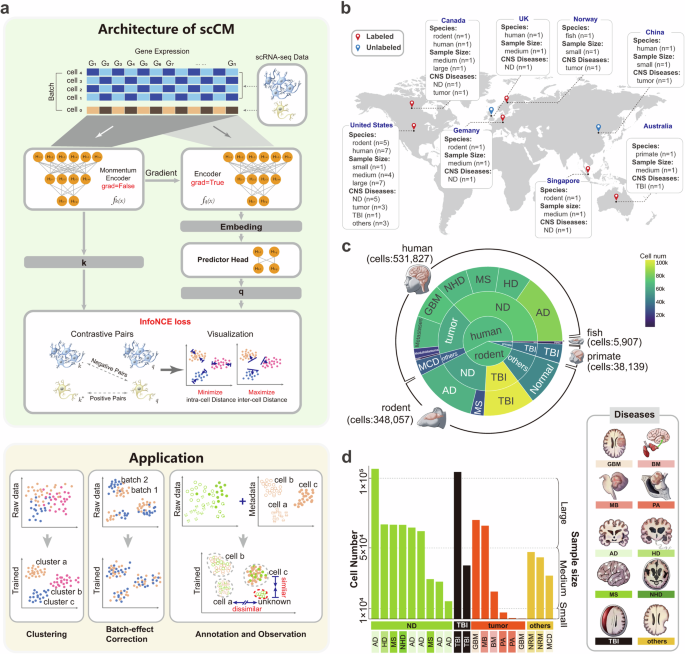 Integrating large-scale single-cell RNA sequencing in central nervous system disease using self ...