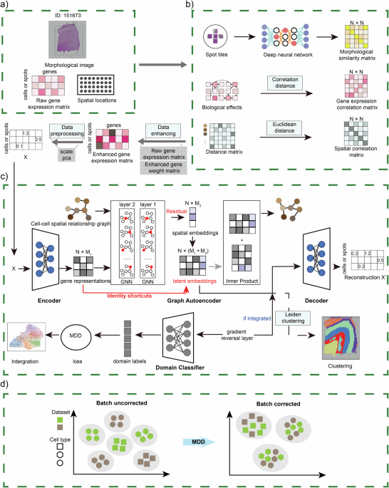 A graph self-supervised residual learning framework for domain identification and data ...