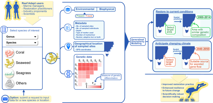 Reef Adapt: A tool to inform climate-smart marine restoration and ...