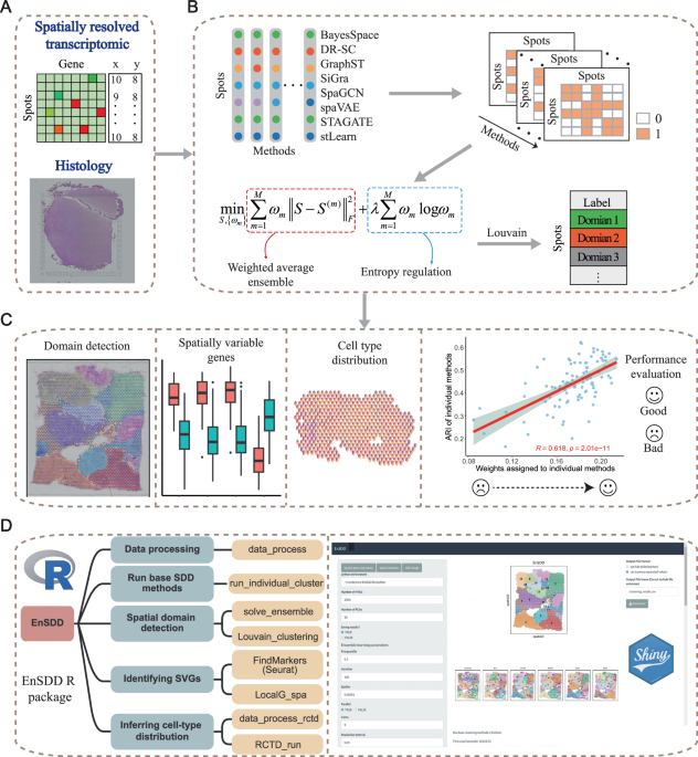 Enhancing spatial domain detection in spatial transcriptomics with ...