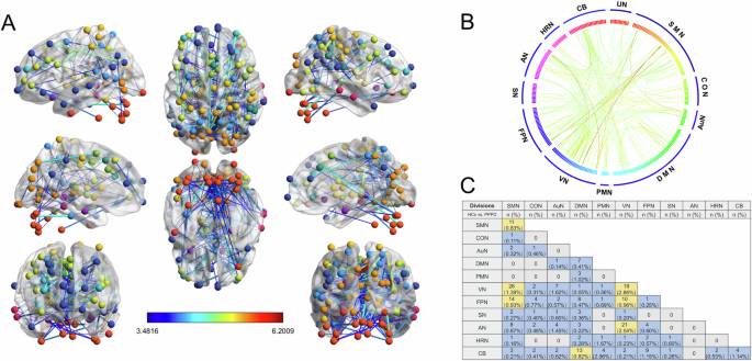 Abnormal neural circuits and altered brain network topological ...