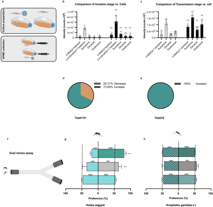 Zika virus modulates human fibroblasts to enhance transmission success ...
