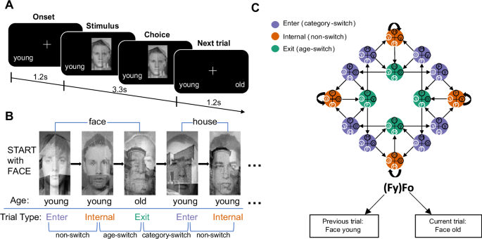 The medial and lateral orbitofrontal cortex jointly represent the cognitive map of task space ...