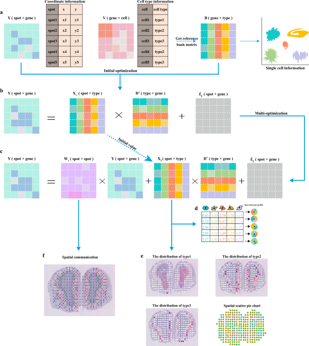 Deconvolution and inference of spatial communication through optimization algorithm for spatial ...