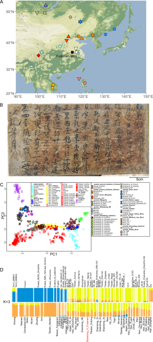 East and West admixture in eastern China of Tang Dynasty inferred from ...