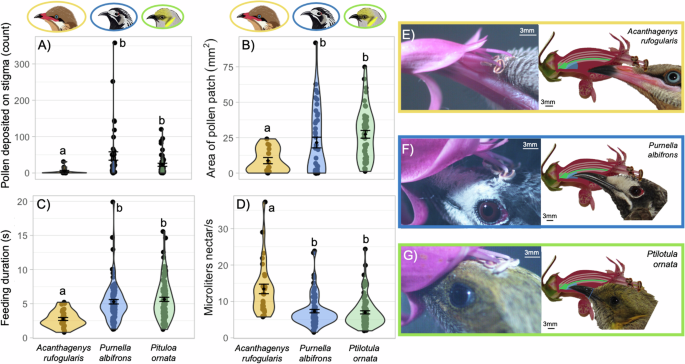 Plant-pollinator trait matching affects pollen transfer but not feeding ...