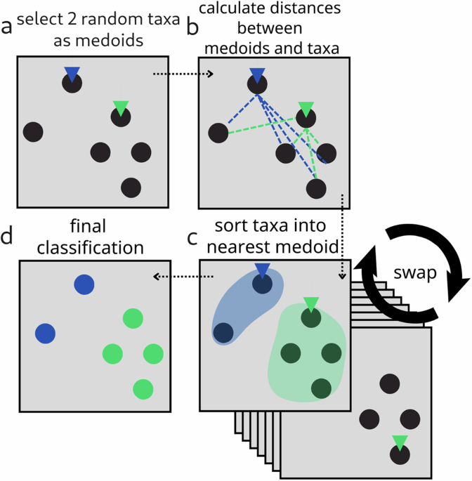 Definition of the microbial rare biosphere through unsupervised machine ...