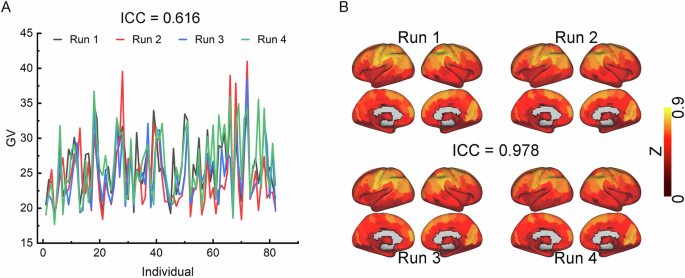 The lifelong nonlinear development of spatial variability of brain ...