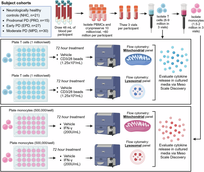 Peripheral immune cell response to stimulation stratifies Parkinson’s ...