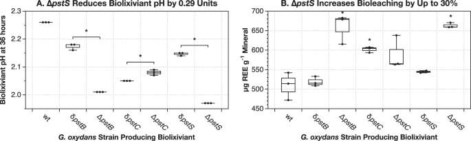High efficiency rare earth element bioleaching with systems biology ...
