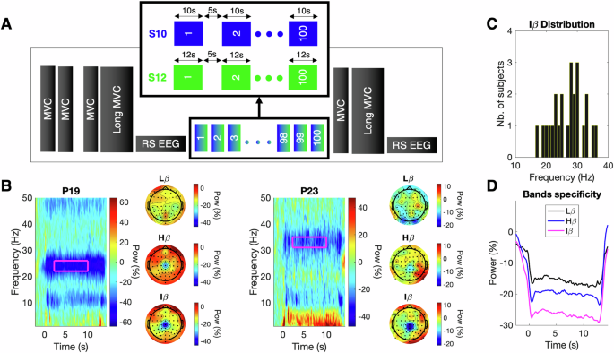 Modulation of beta oscillatory dynamics in motor and frontal areas ...