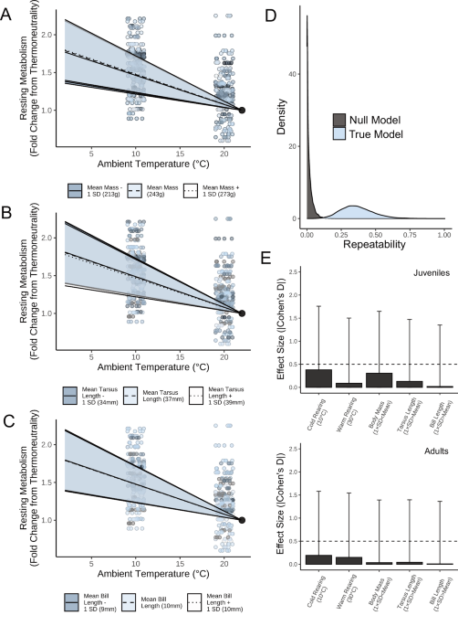 Limited evidence that body size shrinking and shape-shifting alleviate ...