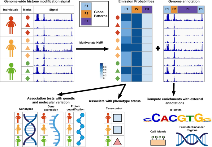 Genome-wide identification and analysis of recurring patterns of ...