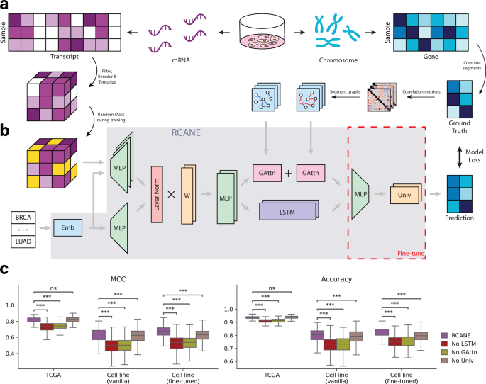 RCANE: a deep learning algorithm for whole-genome pan-cancer somatic ...
