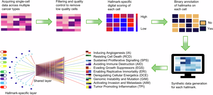 OncoMark: a high-throughput neural multi-task learning framework for comprehensive cancer ...