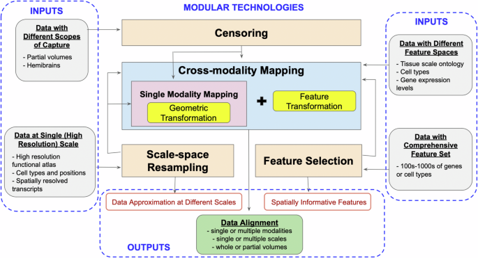 The xIV-LDDMM toolkit of image-varifold based technologies for mapping ...