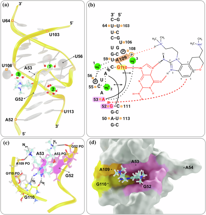 Targeting RNA with small molecules using state-of-the-art methods ...