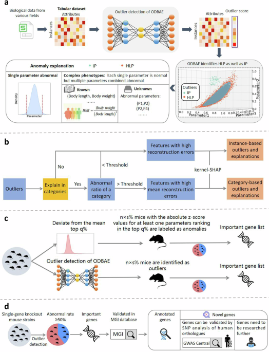 ODBAE: a high-performance model identifying complex phenotypes in high ...