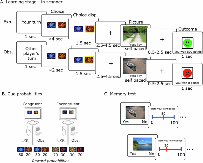 Observational learning strategies impact the neural correlates of ...