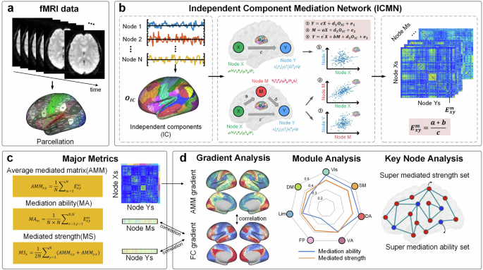 Large-scale brain mediation network based on resting-state functional ...