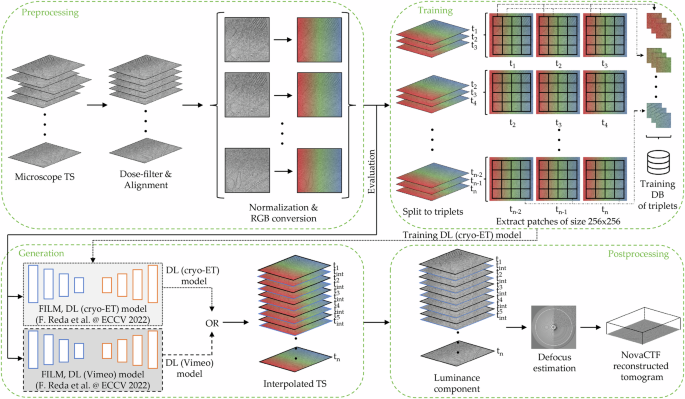 cryoTIGER: deep-learning based tilt interpolation generator for ...