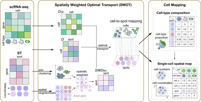 Inference of cell-type composition and single-cell spatial maps from spatial transcriptomics ...