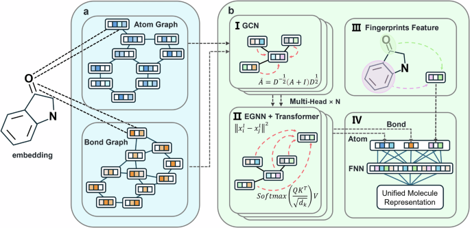 MoleculeFormer is a GCN-transformer architecture for molecular property ...