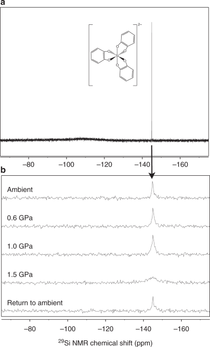 29 Si NMR of aqueous silicate complexes at gigapascal pressures ...