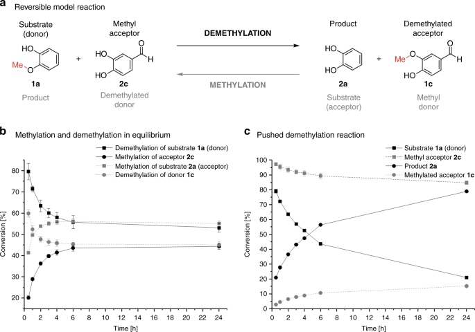 Biocatalytic methylation and demethylation via a shuttle catalysis ...