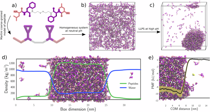 Capturing chemical reactions inside biomolecular condensates with ...