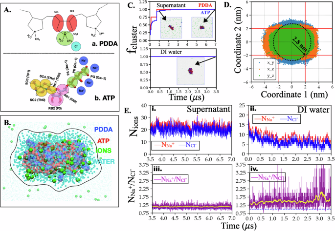 The molecular picture of the local environment in a stable model ...