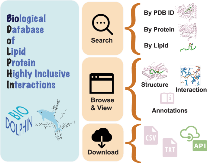 BioDolphin as a comprehensive database of lipid–protein binding ...