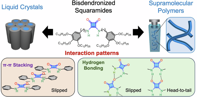 Modulating self-assembly and polymorph transitions in bisdendronized ...