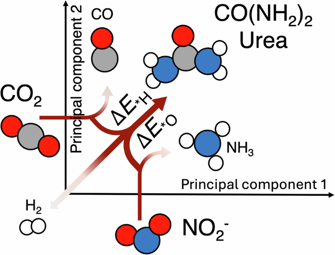Predicting electrocatalytic urea synthesis using a two-dimensional ...