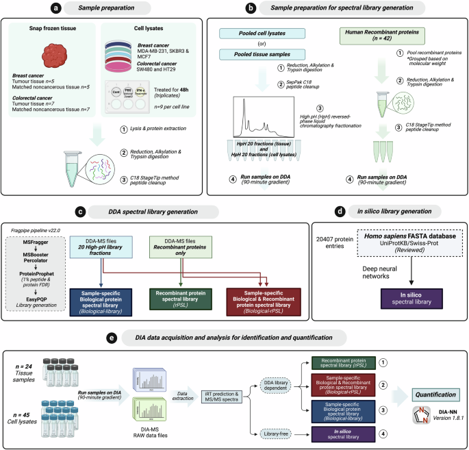 Recombinant Protein Spectral Library (rPSL) DIA-MS method improves ...