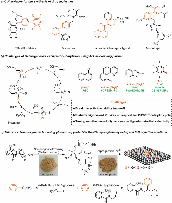 Palladium single-atom/cluster cocatalyst supported on non-enzymatic ...