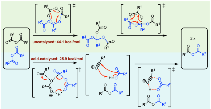 Theoretical studies on anhydride dynamic covalent bond exchange ...