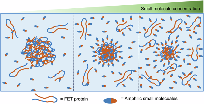 ATP and small amphiphilic molecules act as molecular matchmakers to ...