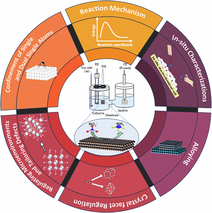 Recent advances in mechanistic studies and catalyst development for ...