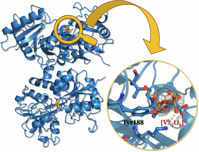 First crystal structure of an adduct formed upon reaction of a vanadium ...