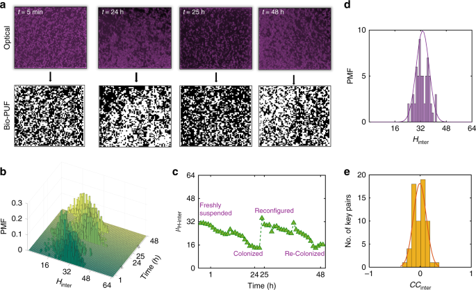 Biological physically unclonable function | Communications Physics